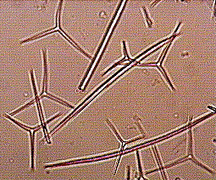 Lab04_1