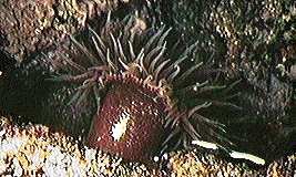 Lab09_3_2